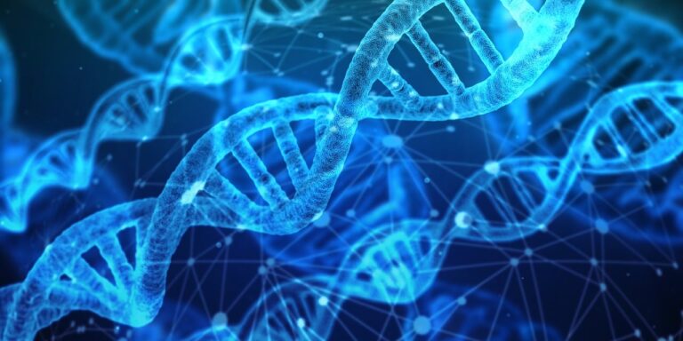 Qu’est-ce qu’un biologiste médical et quel est son rôle en 2025